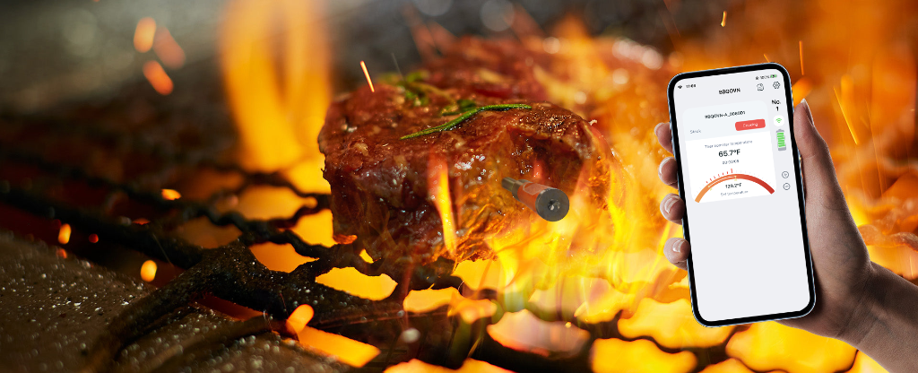 The Best Smart Wireless Meat Thermometer丨bluetooth meat thermometer ...